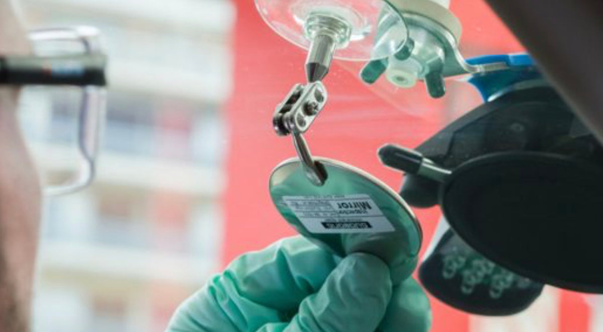 Windshield Repair – Auto Glass Evolution