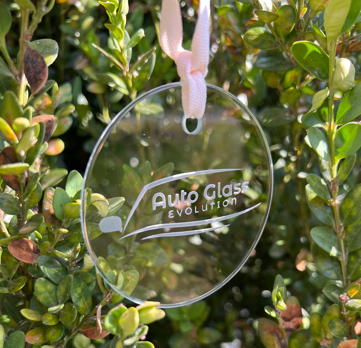 Custom Ornaments – Auto Glass Evolution